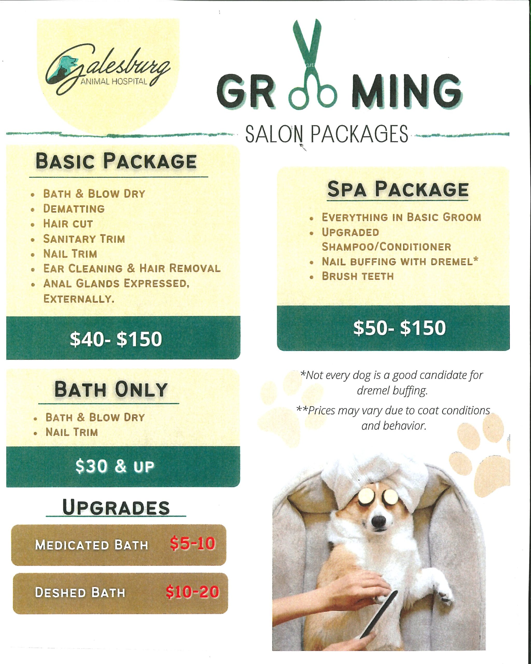 Grooming | Galesburg Animal Hospital - Galesburg, IL Veterinarian